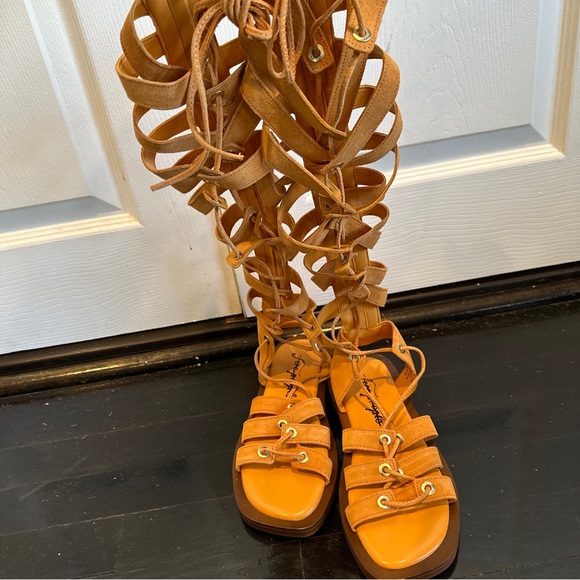 Free People | Shoes | Free People Sun Chaser Tall Gladiator Sandals ...